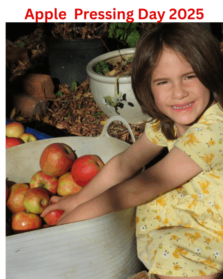 Community Apple Pressing – Castlemaine Community House